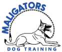 Contact - Maligators Dog Training